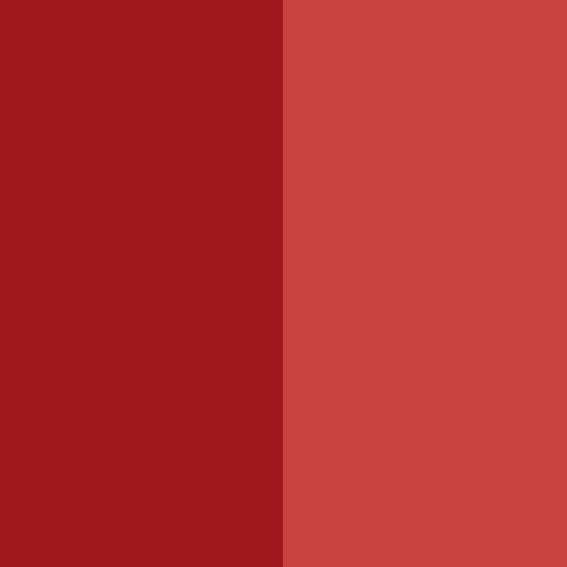 China Pigment Red 149 / CAS 4948-15-6 factory and manufacturers ...