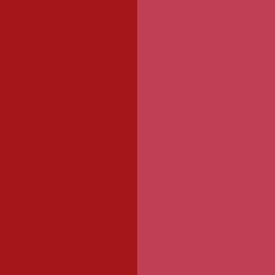 China Pigment Red 170 F5RK / CAS 2786-76-7 factory and manufacturers ...